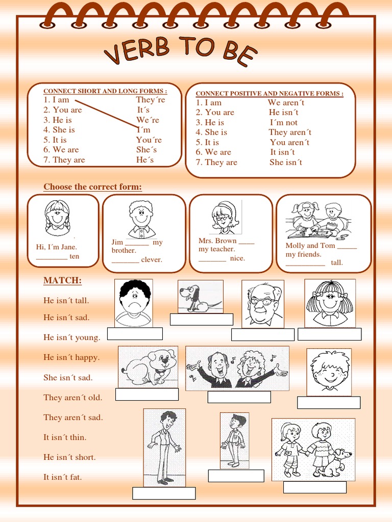 English Grammar: Positive & Negative Forms | PDF