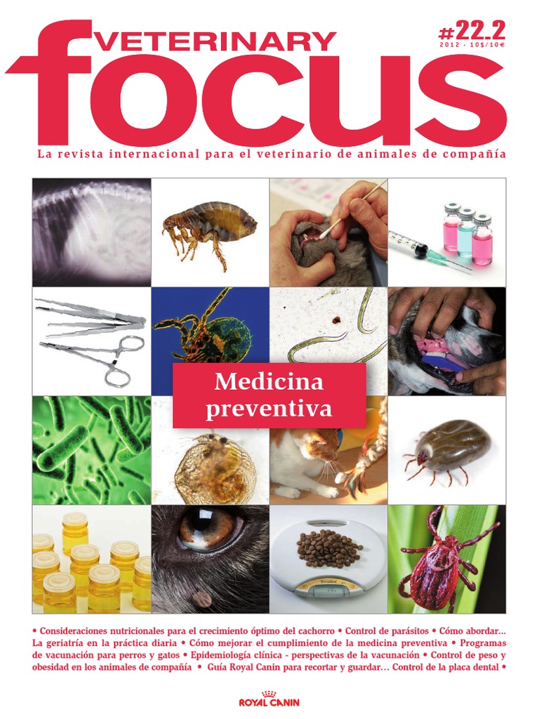 Veterinary Focus - 2012 - 22.2.es PDF | PDF | Digestión | Calcio