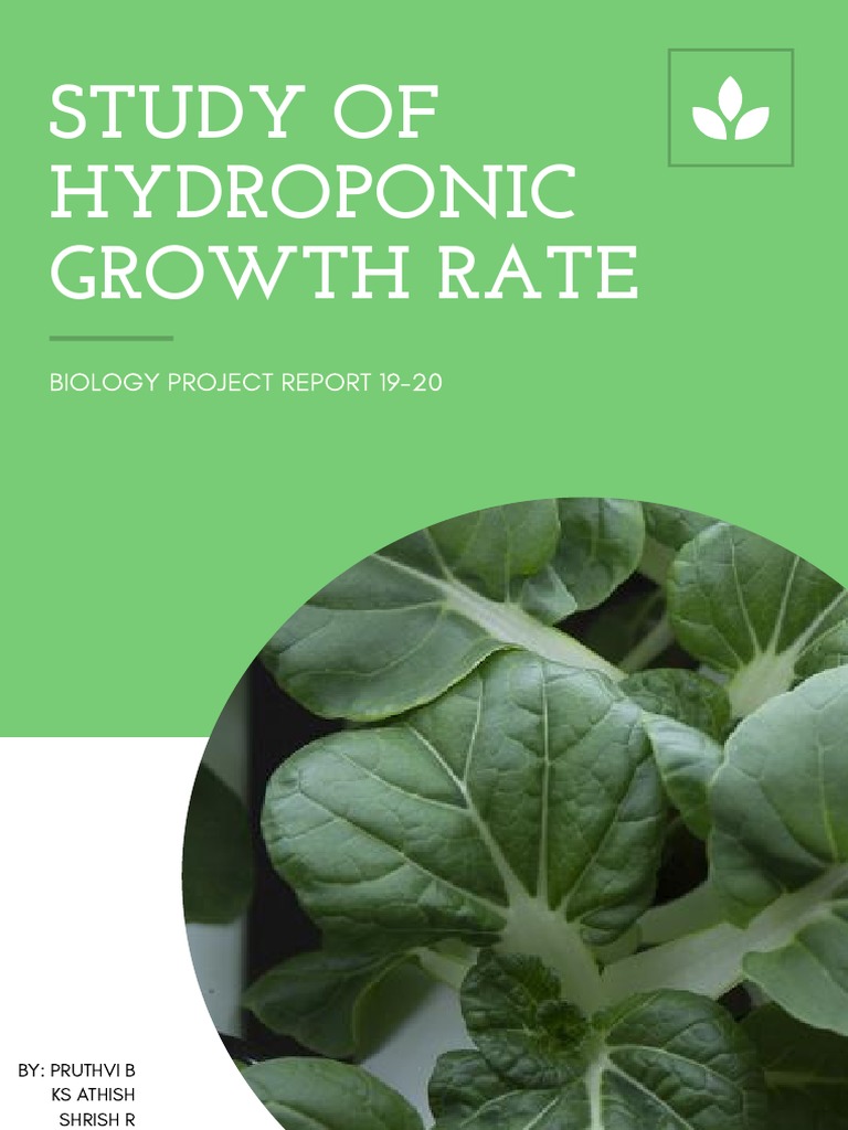 Biology Project Report | PDF | Hydroponics | Plants