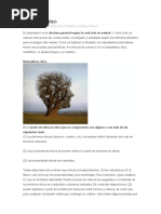 Historia Del Patache | PDF | Cocina | Cocina occidental