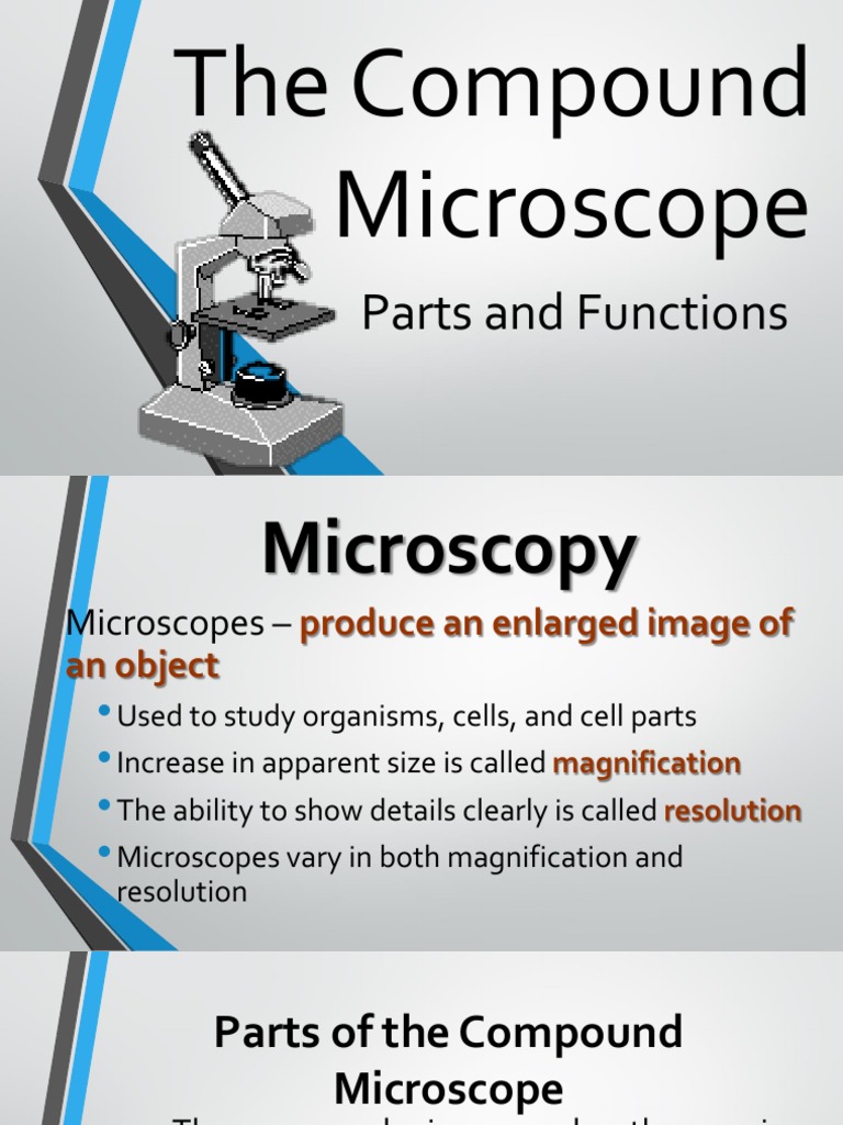 The Compound Microscope | PDF | Lens (Optics) | Optical Devices