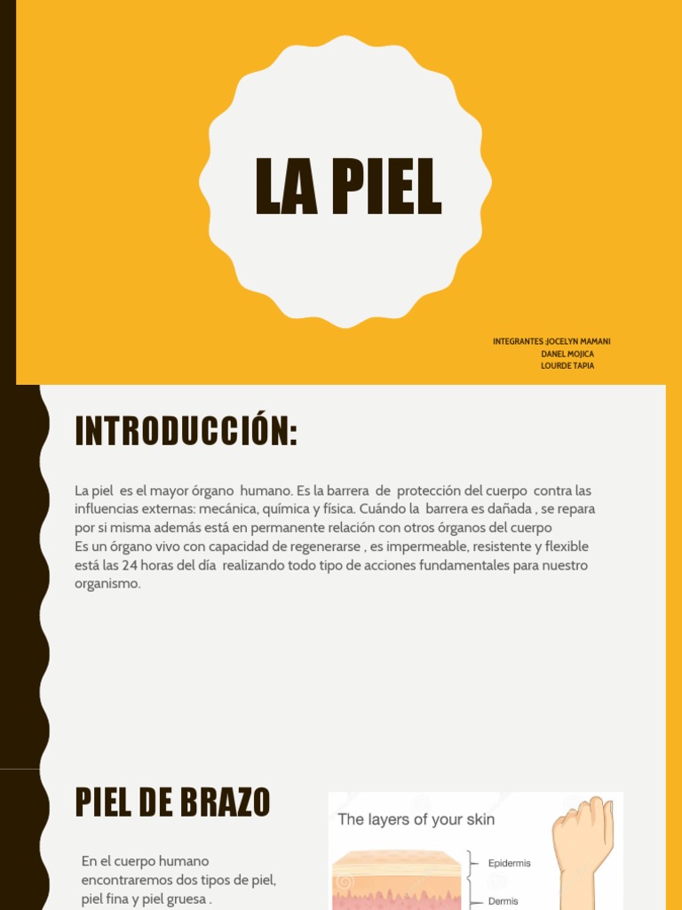 La Piel Pdf Pdf Piel Epitelio