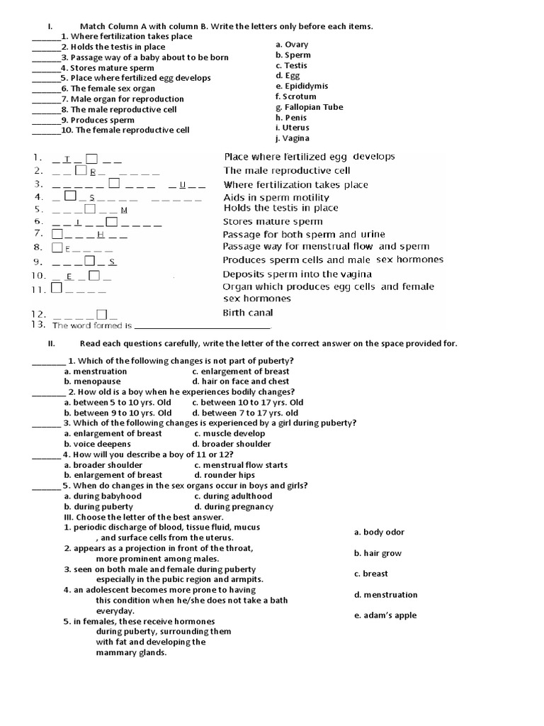 Puberty Quiz and Worksheet for Grade 5 | PDF | Puberty | Breast