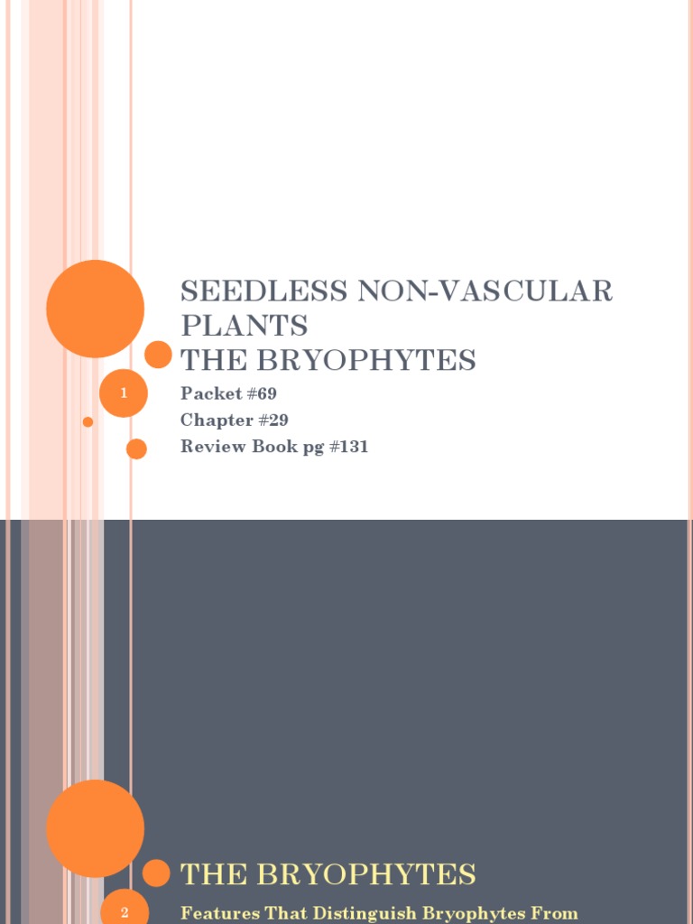 Seedless - Non Vascular - Plants Bryophytes | PDF | Moss | Eukaryotes