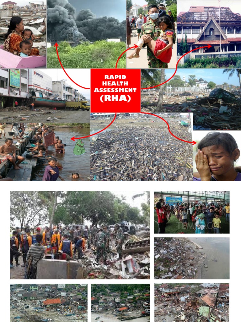 Rapid Health Assessment | PDF