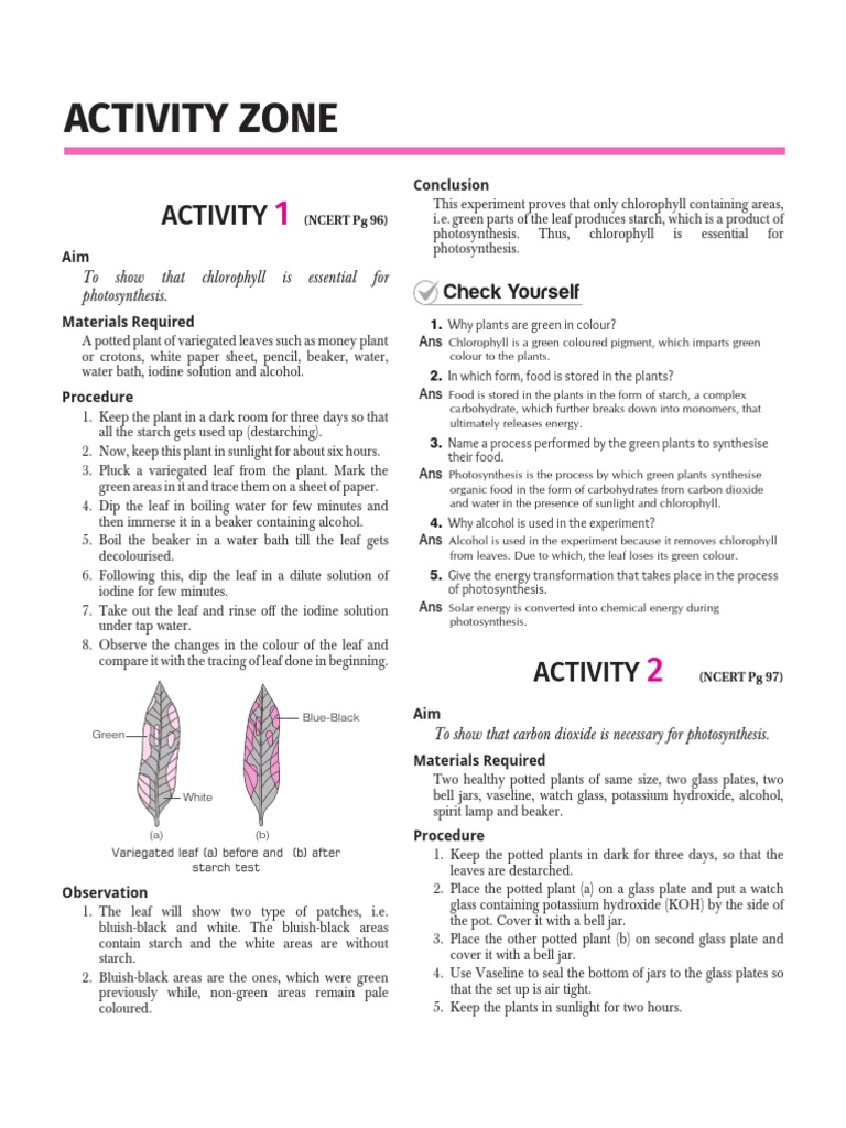 Activity 2 Chemical Reactions and Equations Class 10 | PDF ...