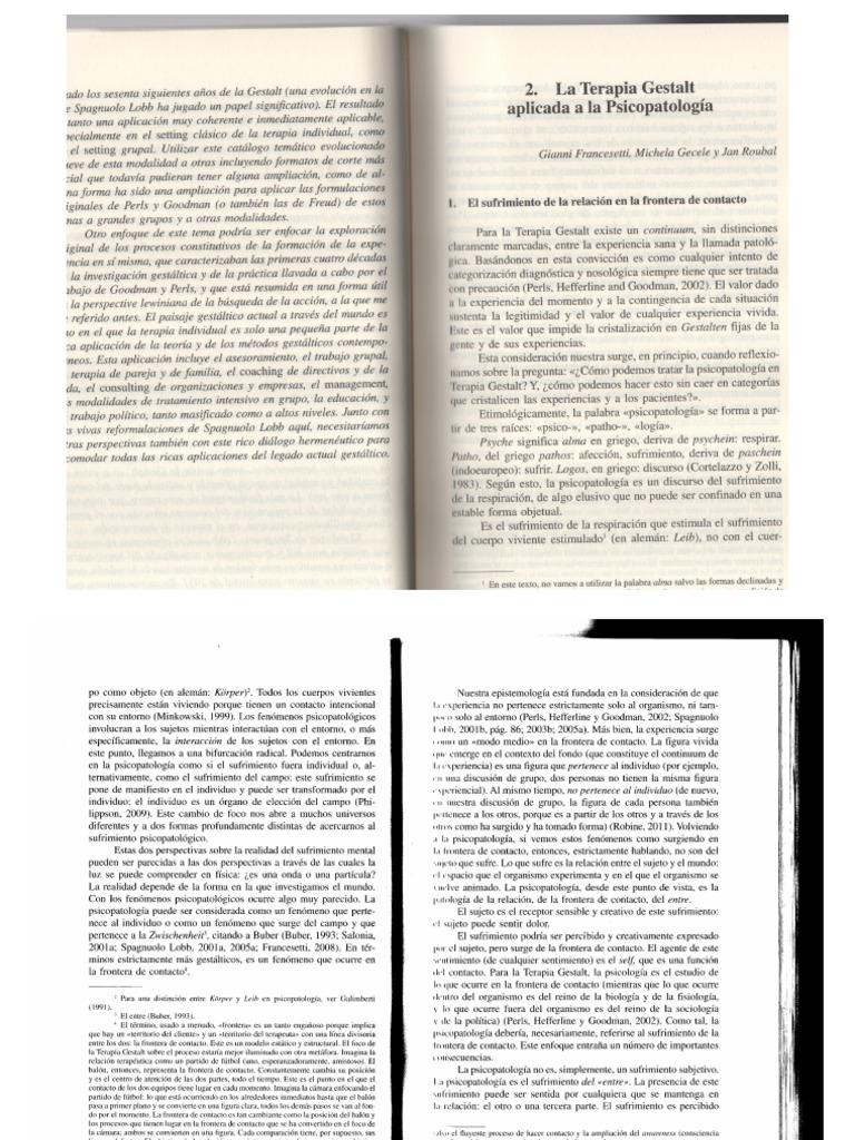 Francesetti, Gecele y Roubal - La Terapia Gestalt Aplicada A La Psicopatología | PDF