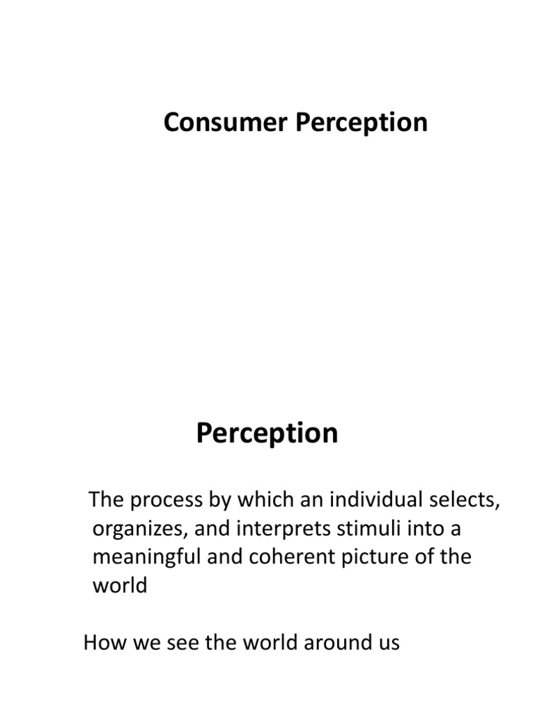 Consumer Perception | PDF | Perception | Stimulus (Physiology)