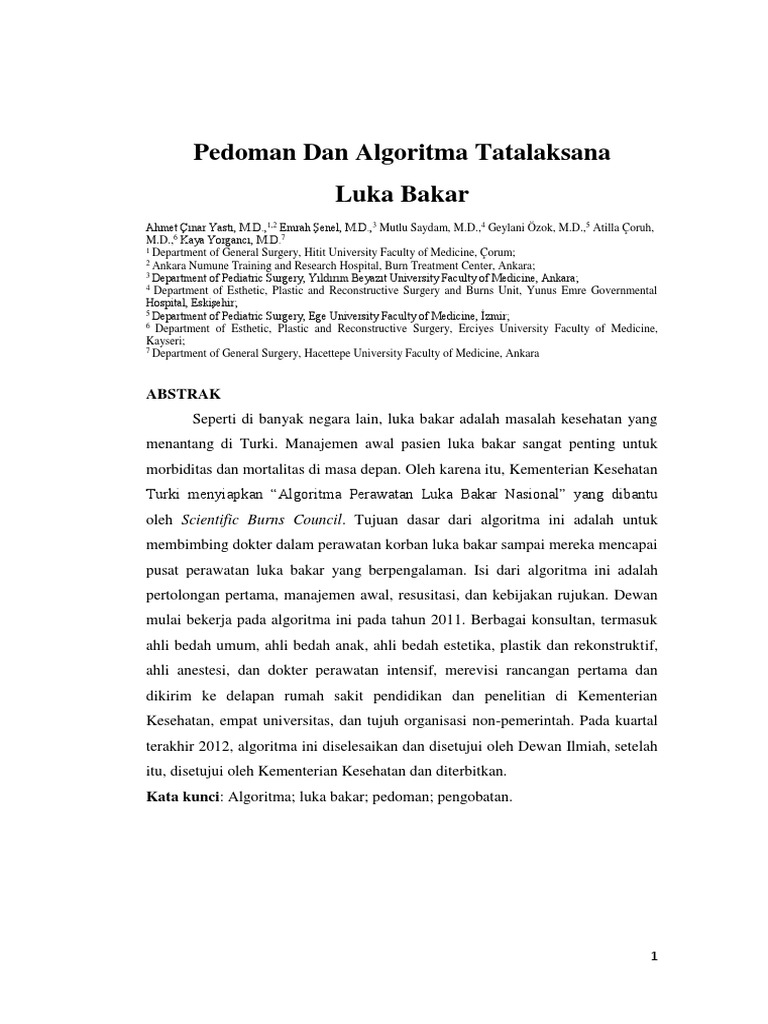 Jurnal Luka Bakar | PDF