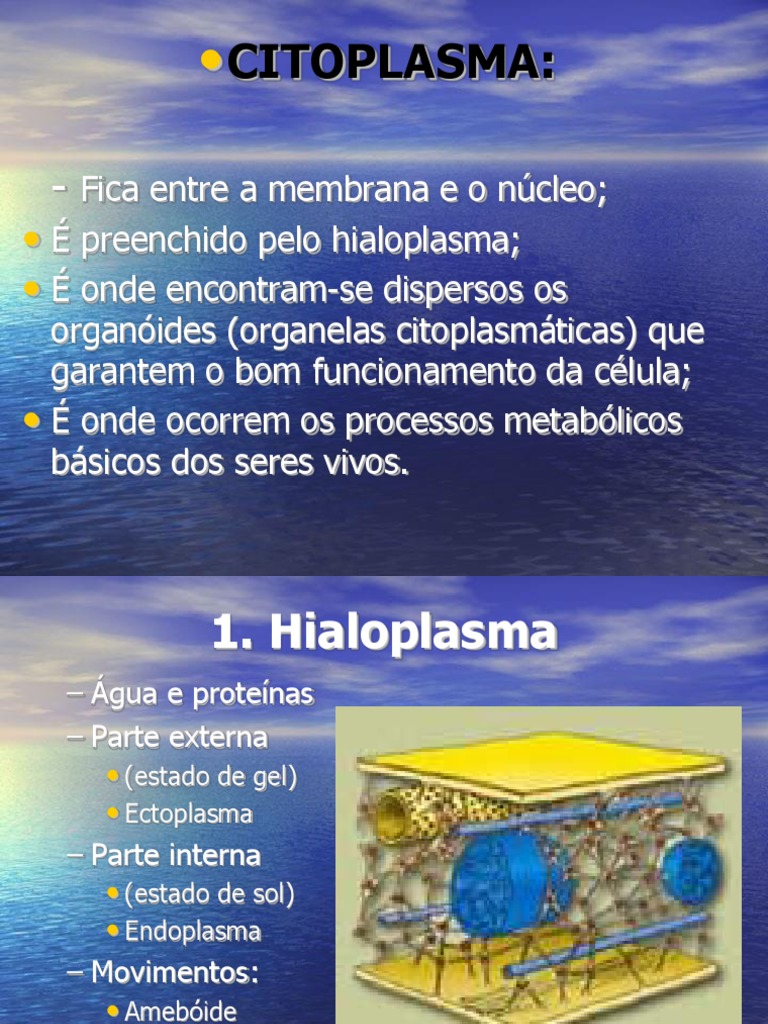 Estrutura e funções do citoplasma e suas organelas | PDF | Citoplasma ...