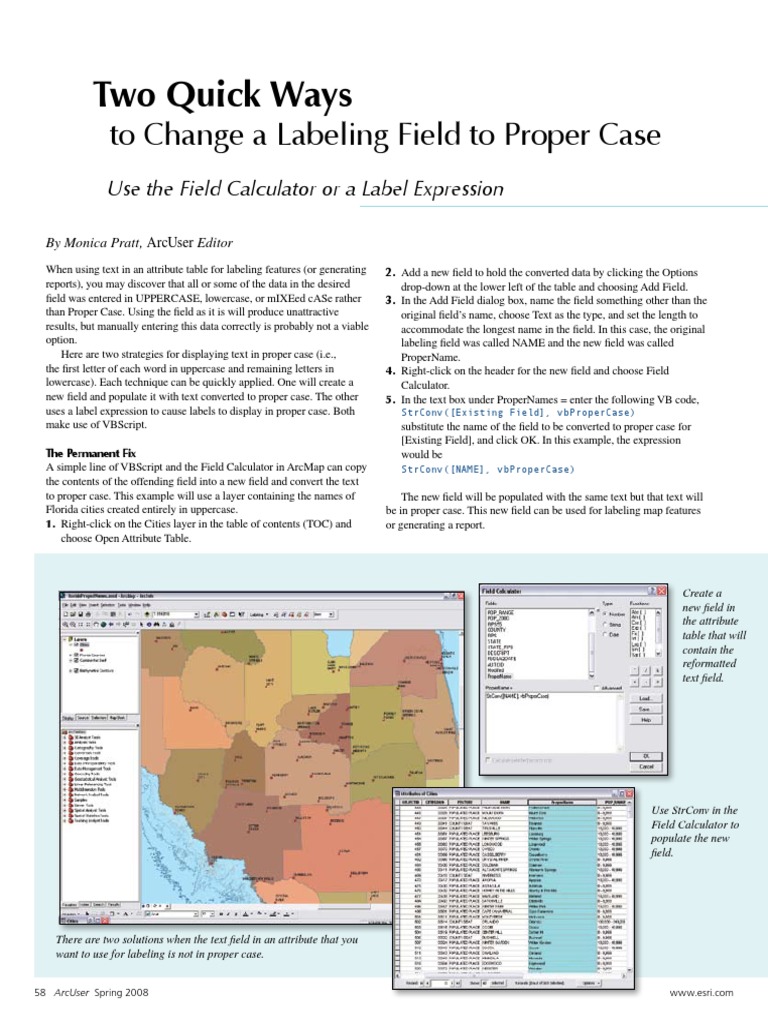 Two Quick Ways to Format Text Fields for Proper Case Labels | PDF ...