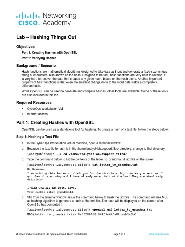 9.1.2.5 Lab - Hashing Things Out | PDF | Algorithms And Data Structures | Espionage Techniques