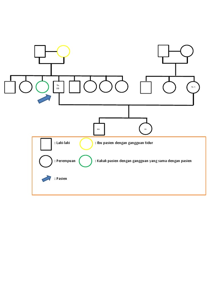 Genogram Jiwa | PDF