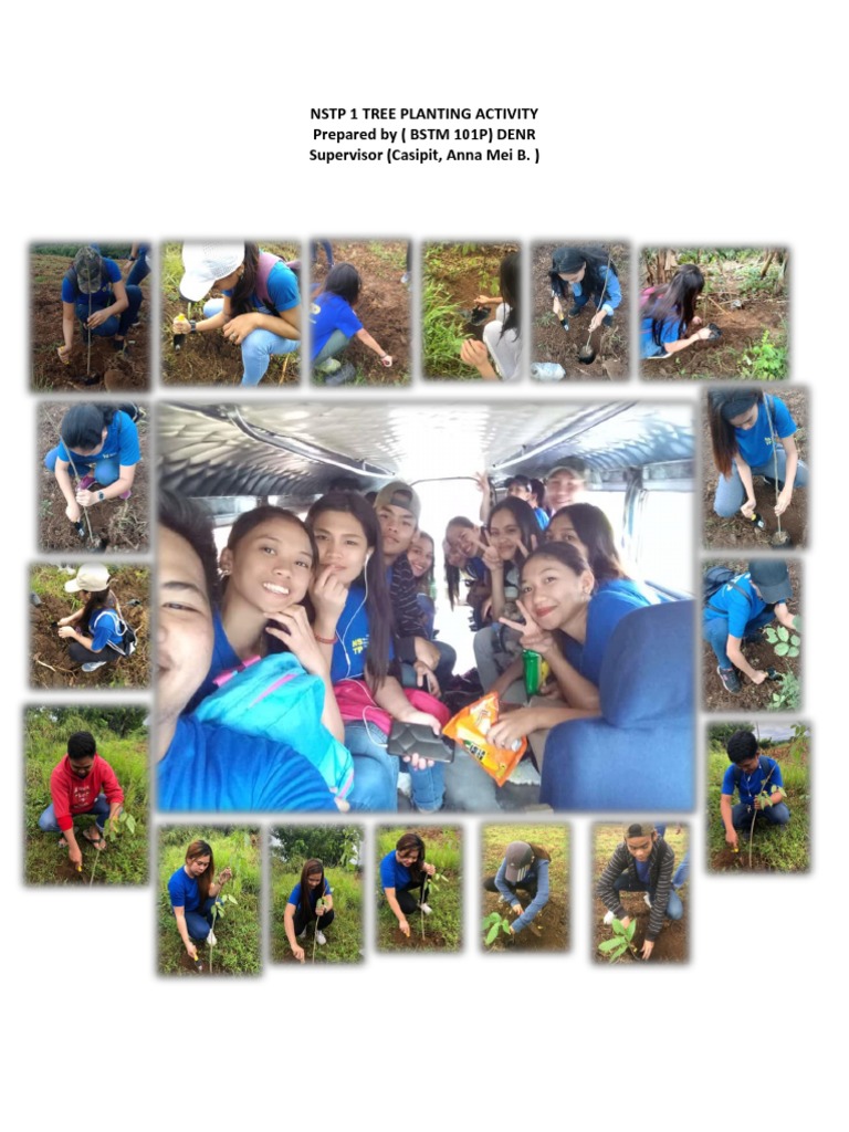 NSTP 1 Tree Planting Activity Prepared by (BSTM 101P) DENR Supervisor ...