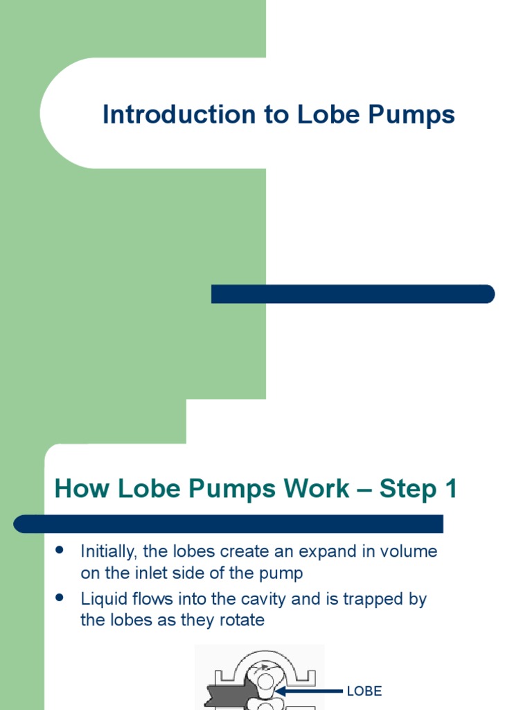 Lobe Pump | PDF