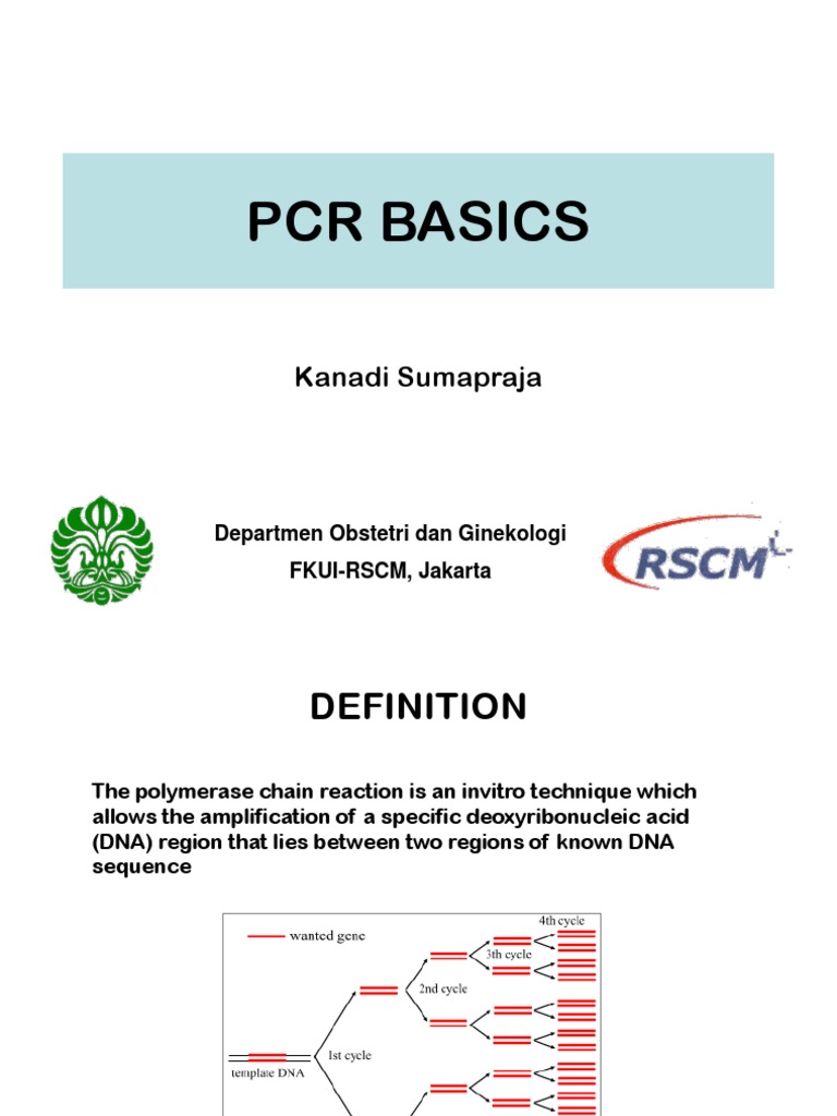 PCR Basics: Kanadi Sumapraja | PDF | Blot (Biology) | Primer (Molecular ...