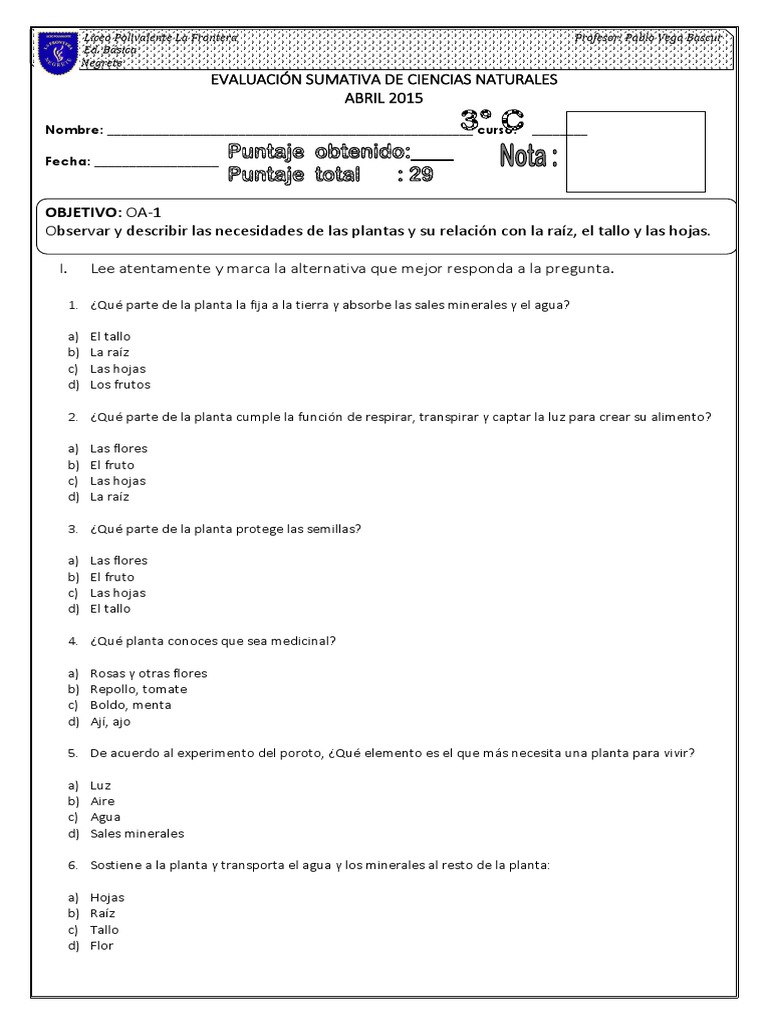 Prueba Partes de Una Planta y Sus Funciones | PDF | Tallo de la planta ...