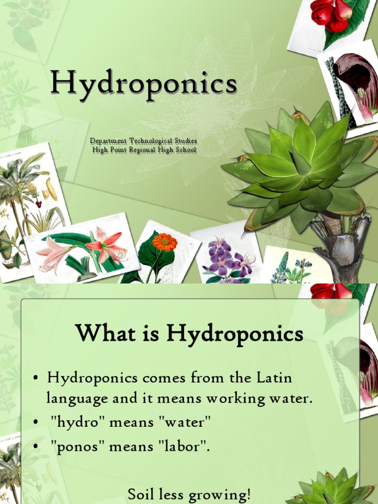 Hydroponicshighpoint | PDF | Hydroponics | Soil