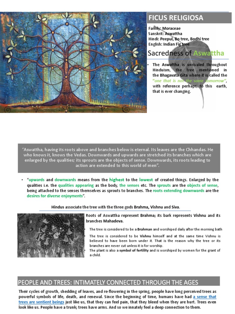 Bodhi Tree | PDF | Vishnu | Indian Religions