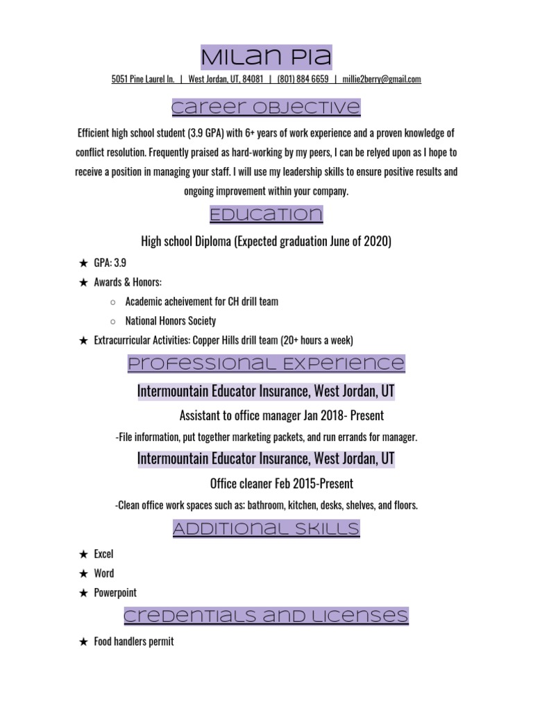 Resume Rough Draft | PDF