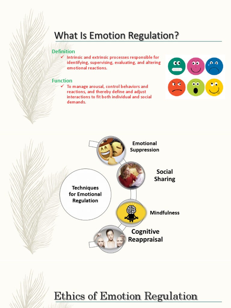 5 Emotional Regulation | PDF