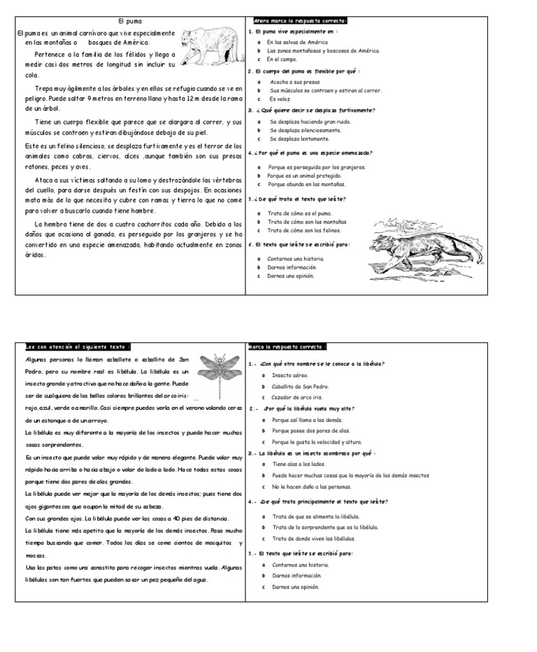 Fichas de Comprension Lectora | PDF | Puma | Libélula