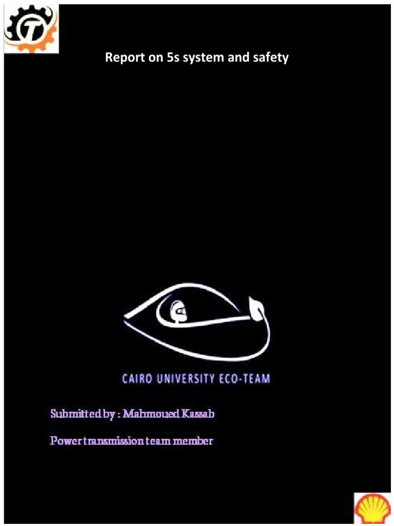 5s and Safety (Report) | PDF | Business