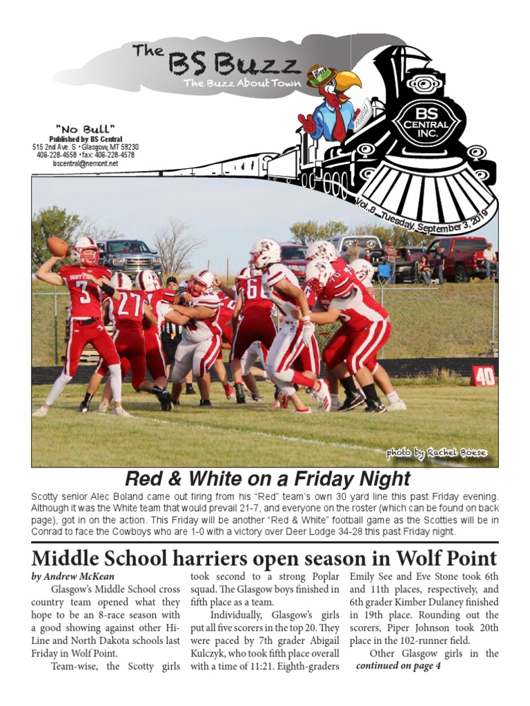 BS Buzz | PDF | Beef | Employment