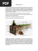 Índice de Simpson: Fórmula y Ejemplos | PDF | Biodiversidad | Habitat