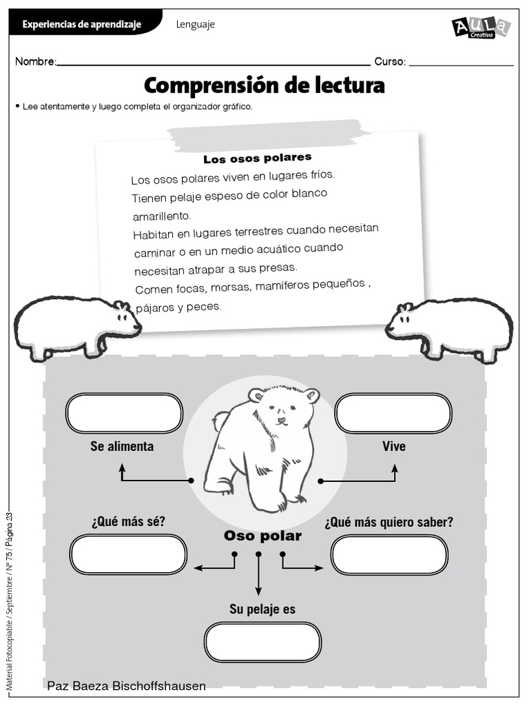 Taller de Comprensión Lector | PDF | Oso polar | Leopardo