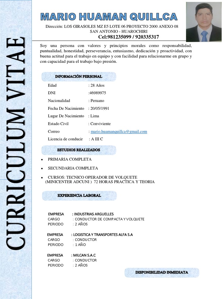 Curriculum Vitae Simple Mario | PDF