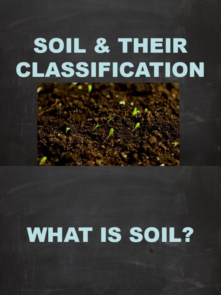 Soil Classification Guide | PDF