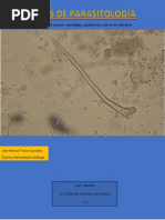 Atlas de Coprológico. Atlas de Coprología. | PDF | Digestión | Leucocito