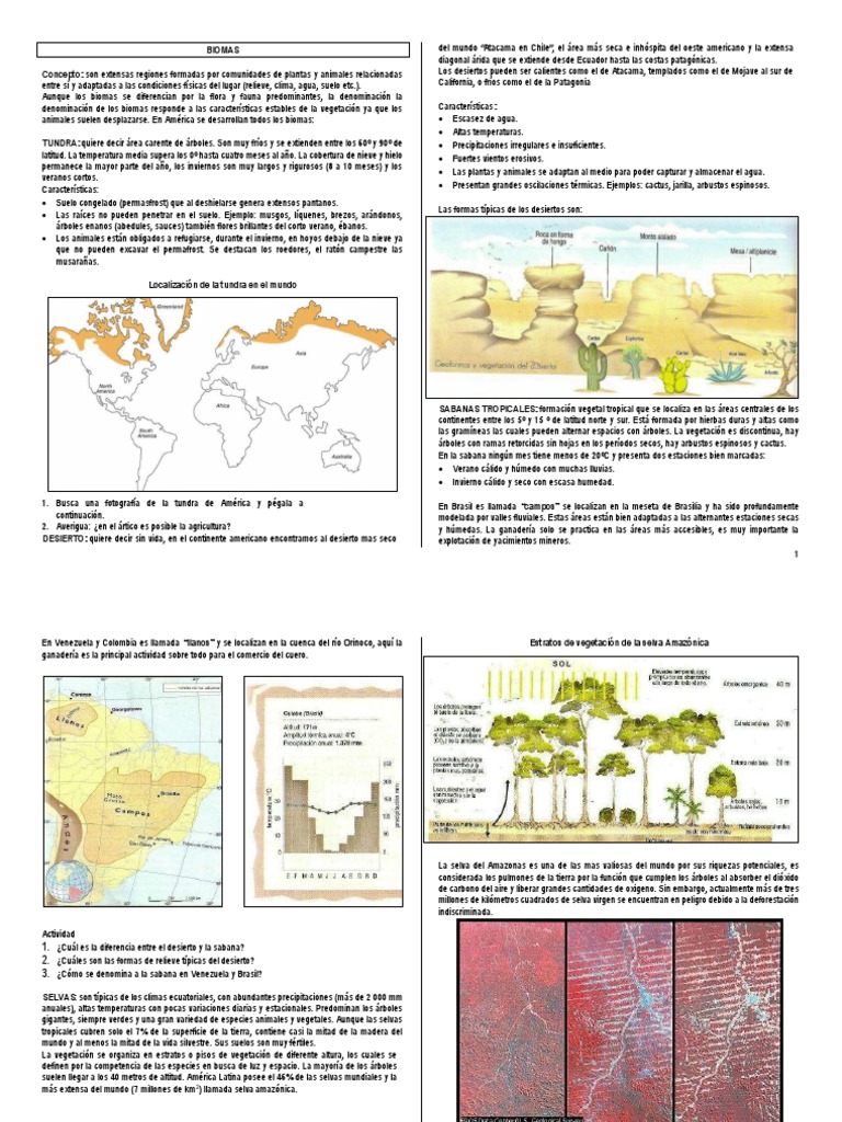 Biomas de América: Características y Actividades | PDF | Selva | Desierto