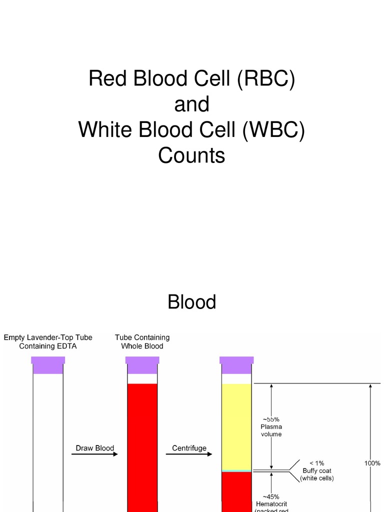 RBC&WBC Count | PDF | Blood Cell | White Blood Cell