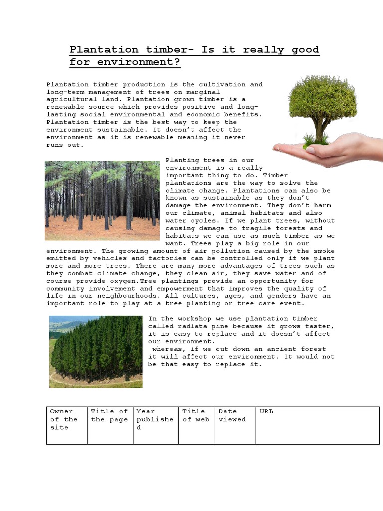 Timber Plantation | PDF | Plantation | Trees