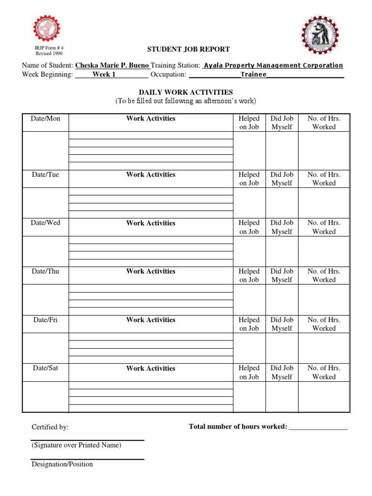 Daily Work Activity | PDF