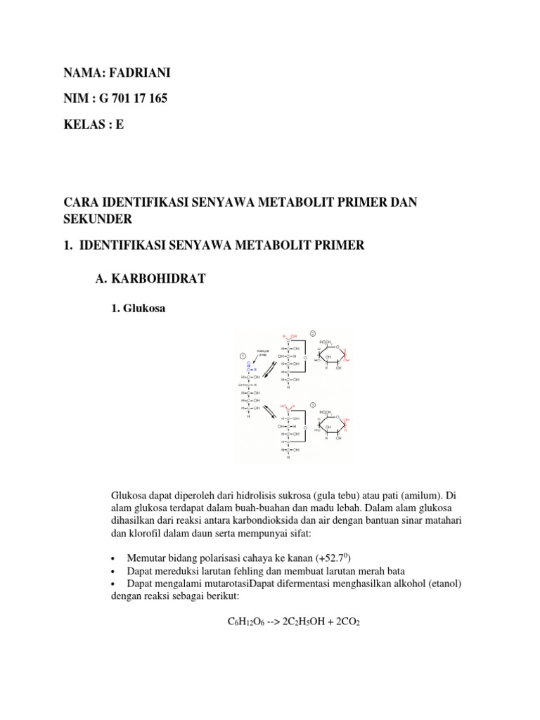 Cara Identifikasi Senyawa Metabolit Primer Dan Sekunder | PDF