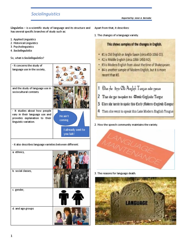 Sociolinguistic Report | PDF | Sociolinguistics | Linguistics