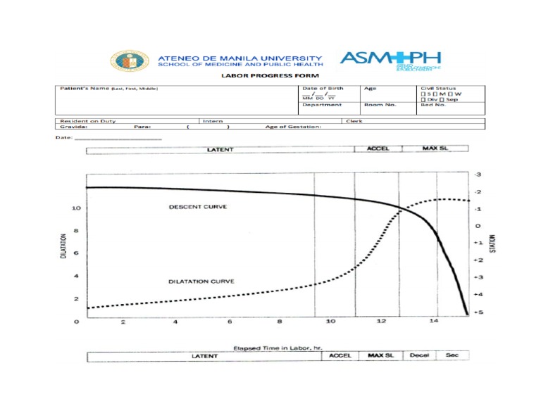Friedmans Curve | PDF