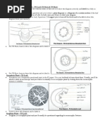 As LEVEL PLAN DIAGRAMS Biology | PDF | White Blood Cell | Cell (Biology)
