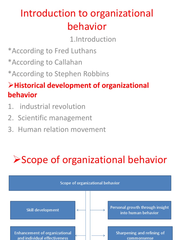 Introduction To Organizational Behavior: According To Fred Luthans ...