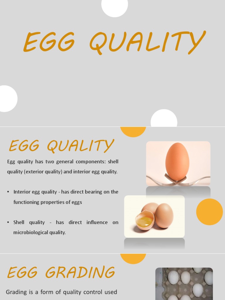Egg Quality | PDF