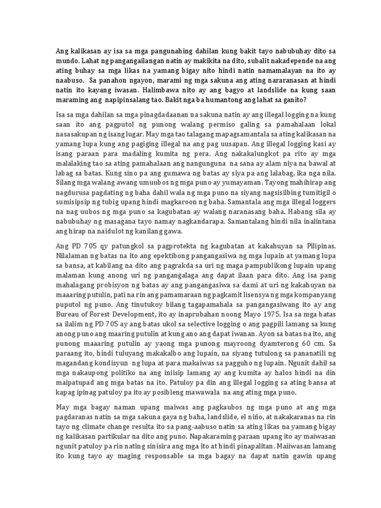 Posisyon Paper | PDF