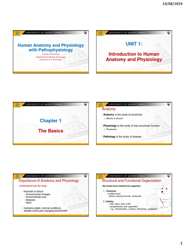 MT632 Unit 1 Introduction Human Anatomy and Physiology Chapter 1 The ...