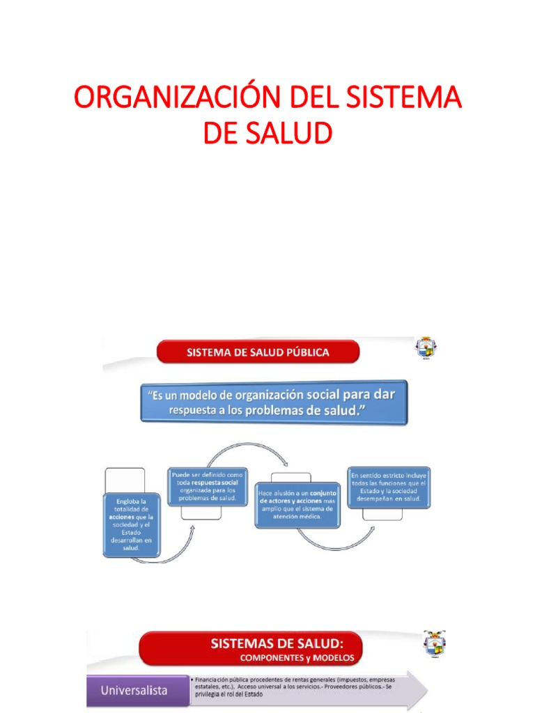 Organización Del Sistema de Salud | PDF