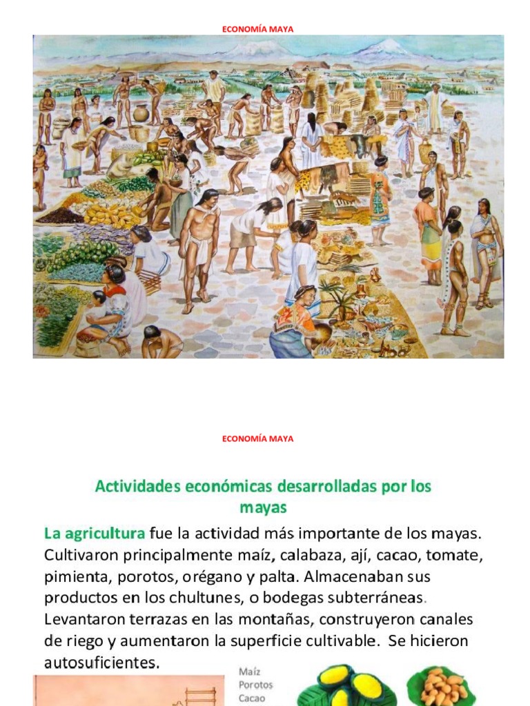Economia Maya