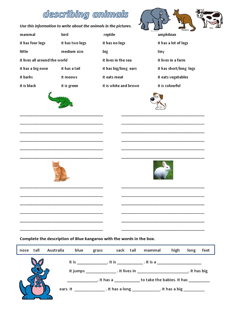 Use This Information To Write About The Animals in The Pictures | PDF ...