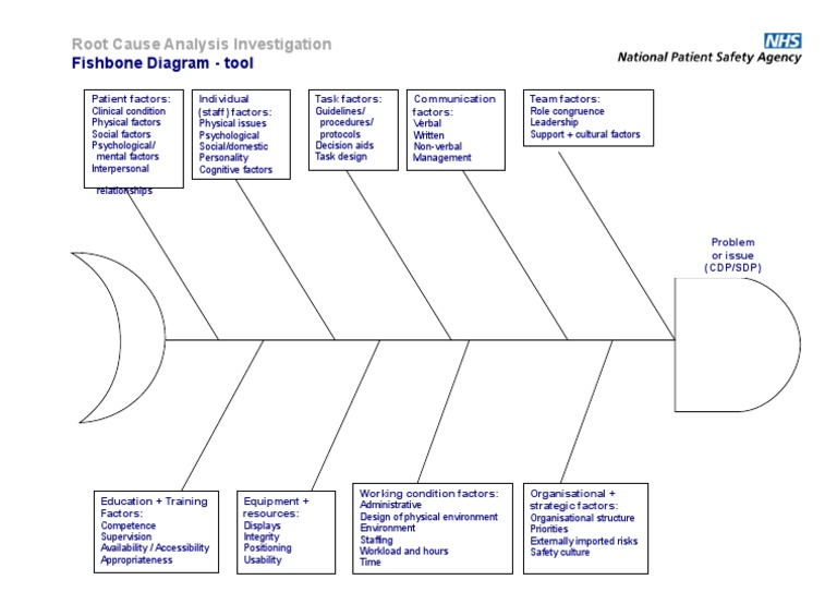 Fishbone Diagram | PDF