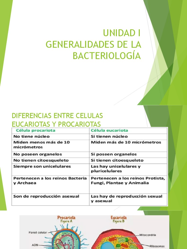 Unidad I Generalidades de La Bacteriología | PDF | Las bacterias | Biología Celular)